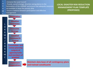 Proposed Local Disaster Risk Reduction Management Planning Process | PPTX
