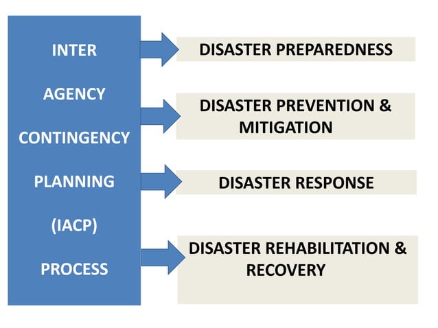 Proposed Local Disaster Risk Reduction Management Planning Process | PPT