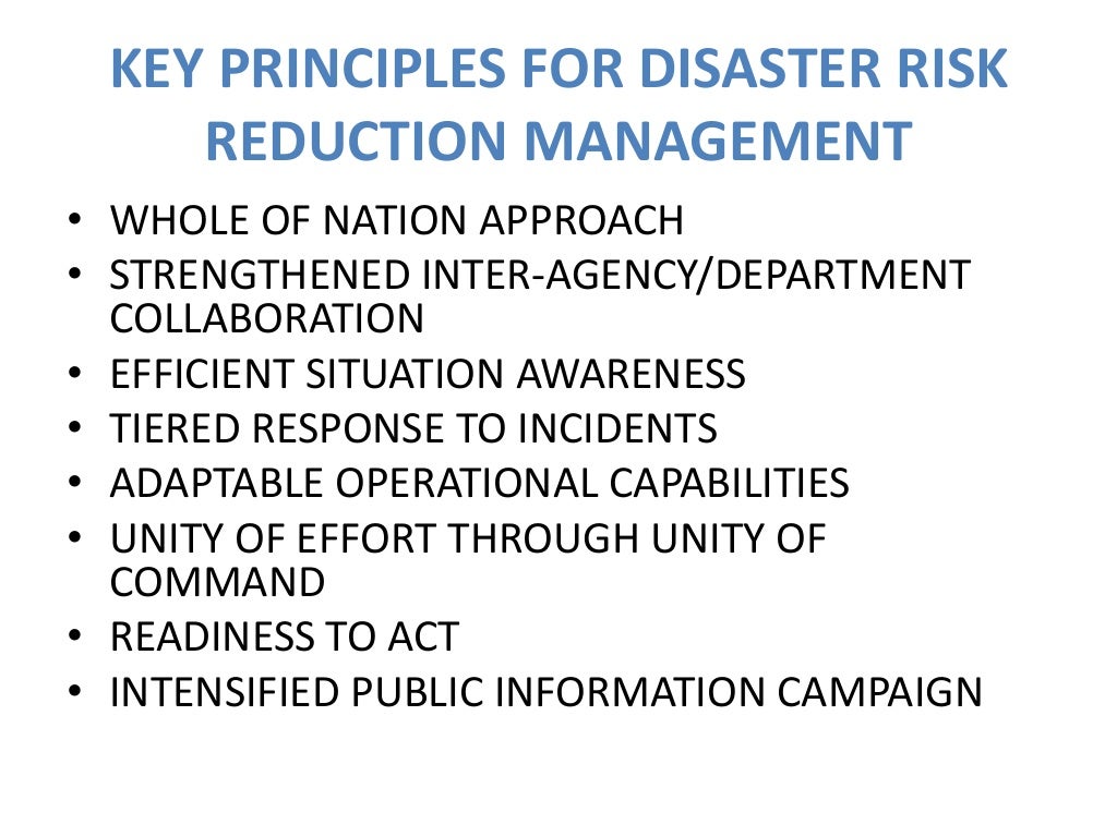 Proposed Local Disaster Risk Reduction Management Planning Process