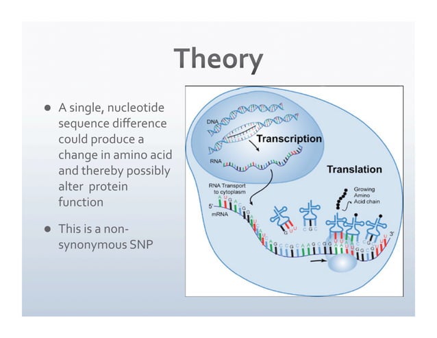 Non-synonymous SNP ID | PDF | Genetics | Science