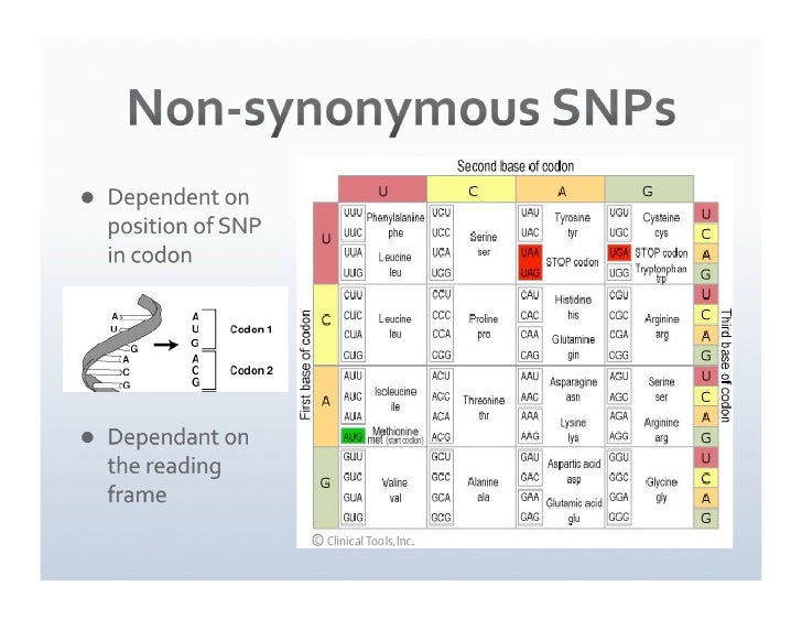 Non-synonymous SNP ID