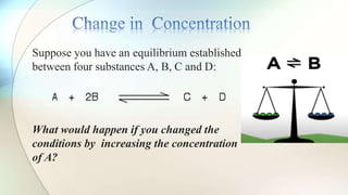 Le chatelier principles in dynamic equilibrium reactions | PPTX