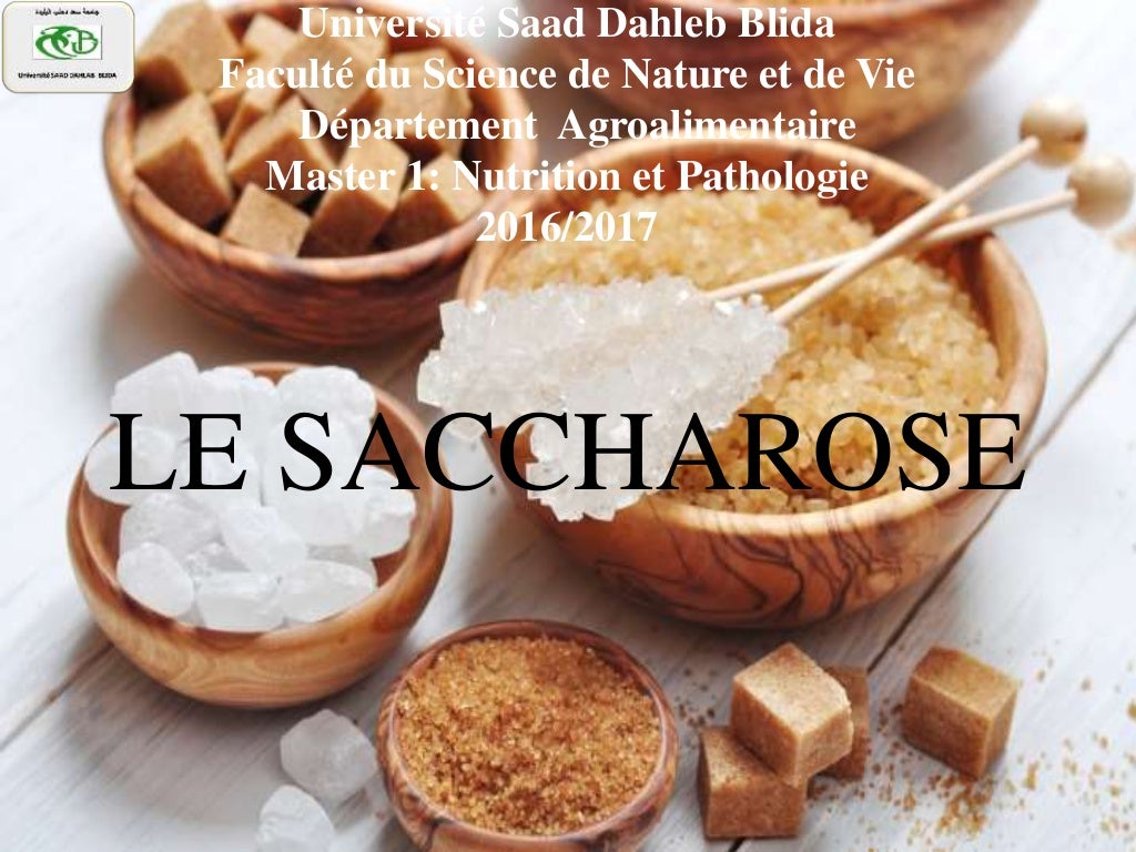 Le saccharose
