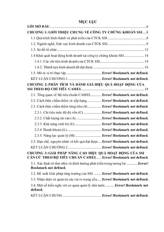 Đánh giá hiệu quả hoạt động cty chứng khoán SSI theo tiêu chuẩn CAMEL ...