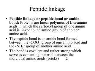 Le 17. Peptide linkage and chemical.pptx | Chemistry | Science
