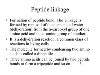 Le 17. Peptide linkage and chemical.pptx