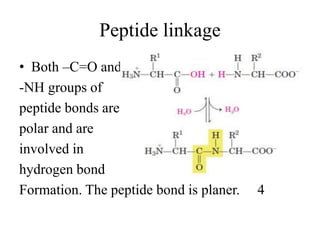 Le 17. Peptide linkage and chemical.pptx | Chemistry | Science