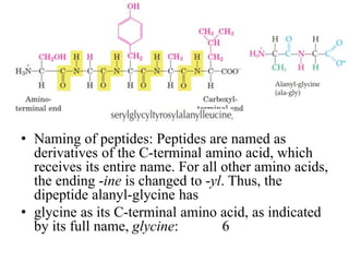 Le 17. Peptide linkage and chemical.pptx