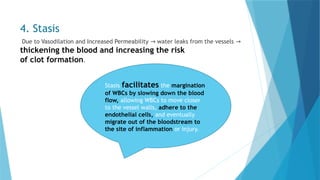 Inflammation Decoded: From Acute Immune Response to Chronic Disease ...