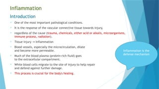 Inflammation Decoded: From Acute Immune Response to Chronic Disease ...