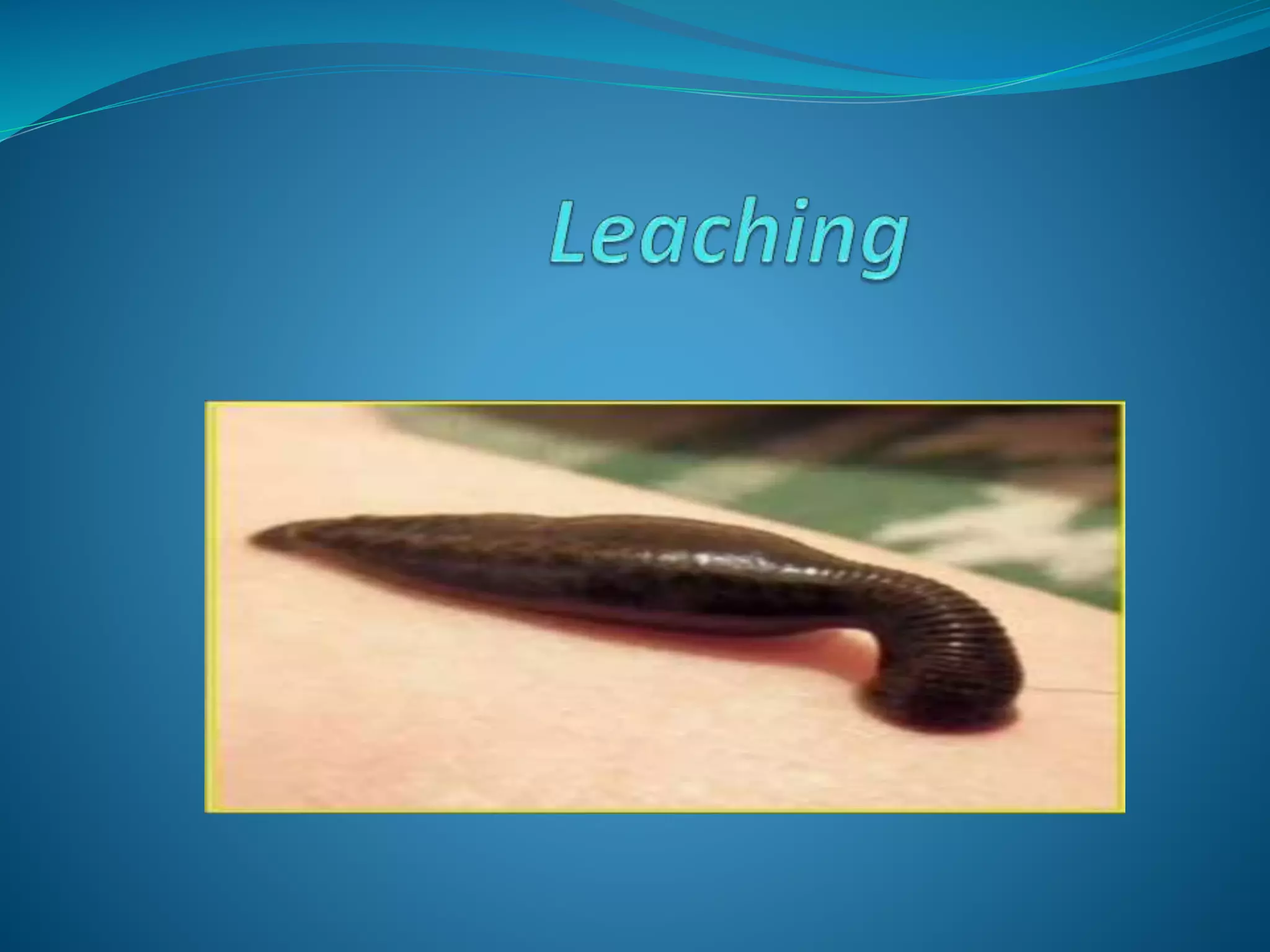 Leaching | PPTX