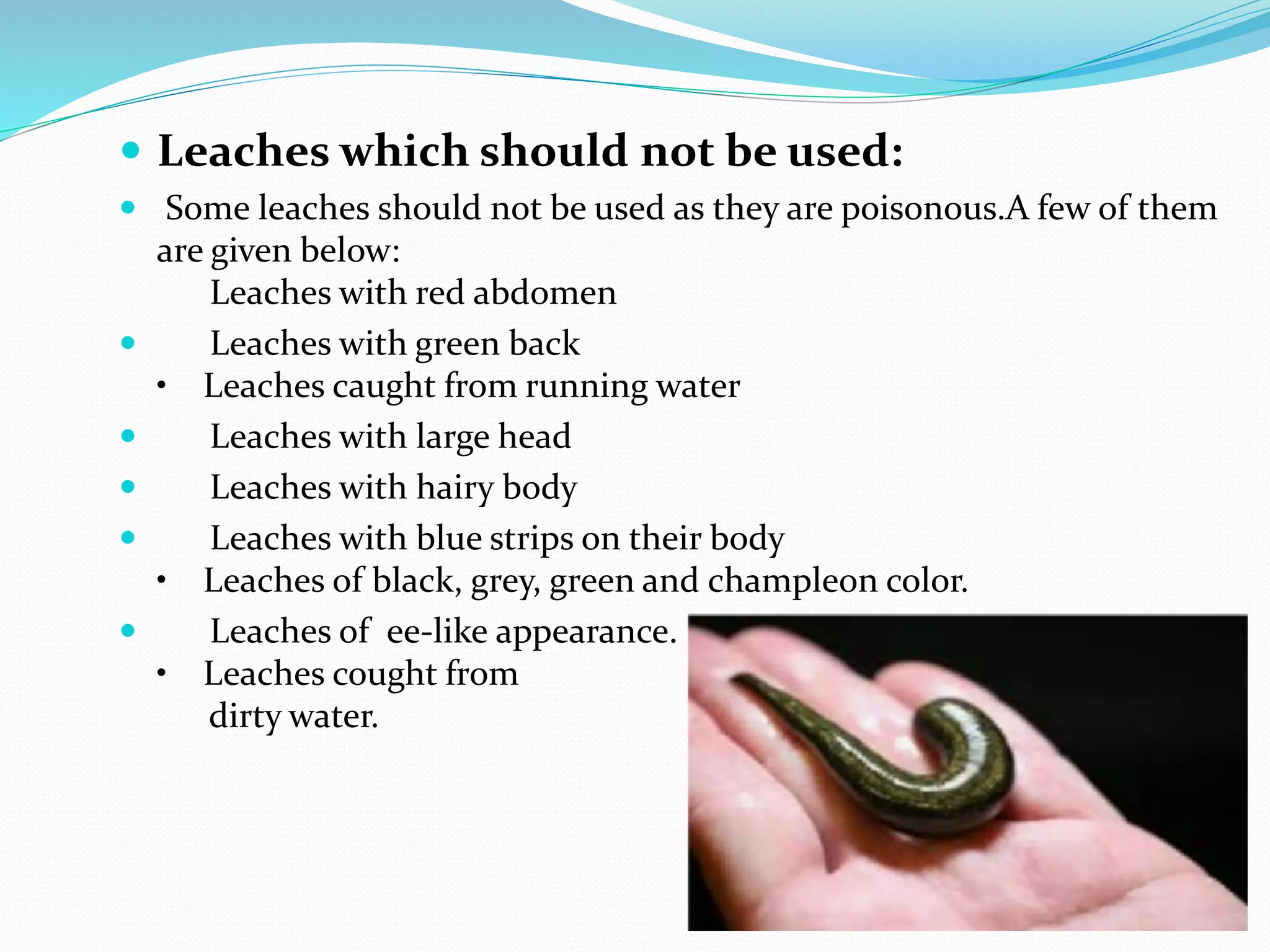 Leaching | PPTX