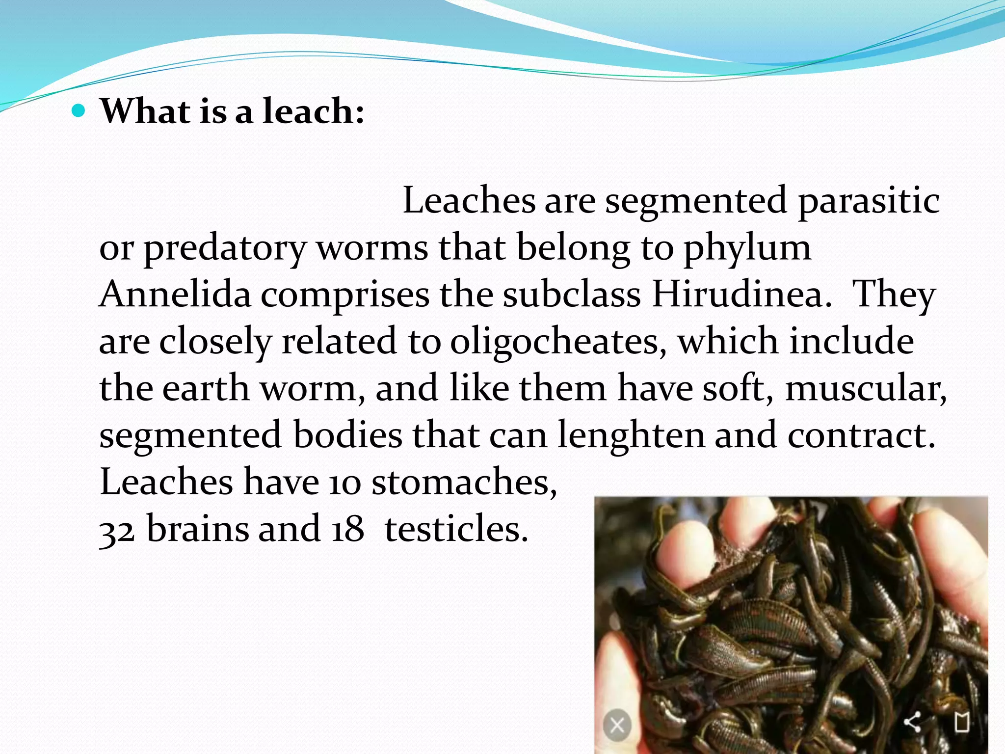 Leaching | PPTX