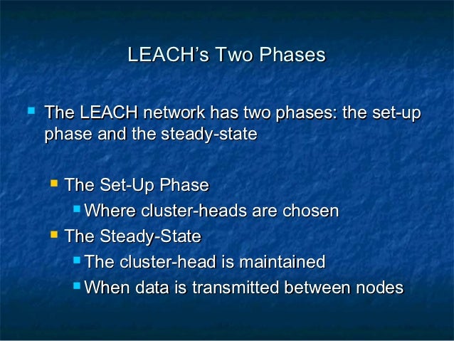 Leach And Pegasis