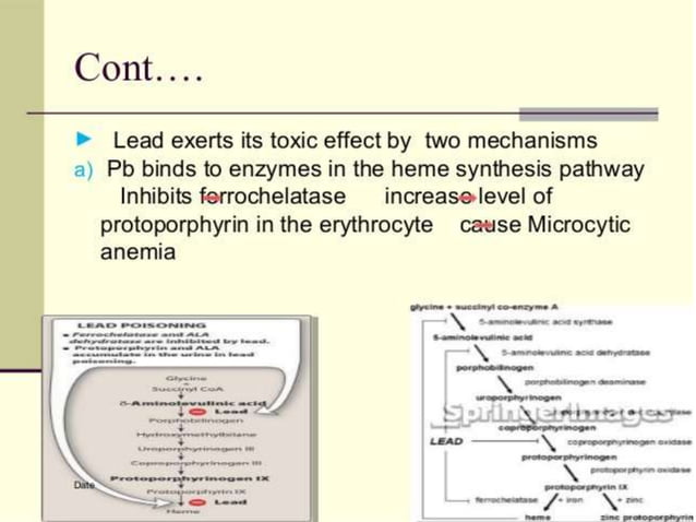 The chemistry of Lead and lead poisoning | PPTX