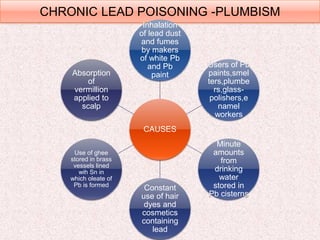 LEAD POISONING | PPTX