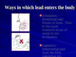 Lead Health Hazard Awareness | PPT