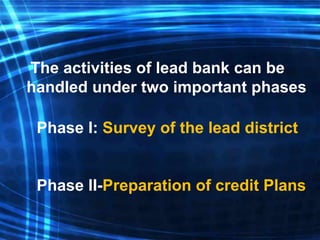 Lead bank scheme | PPTX