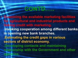 Lead bank scheme | PPTX