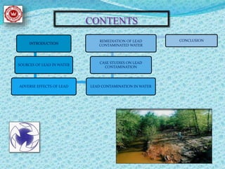 Lead contamination and its remediation | PPTX
