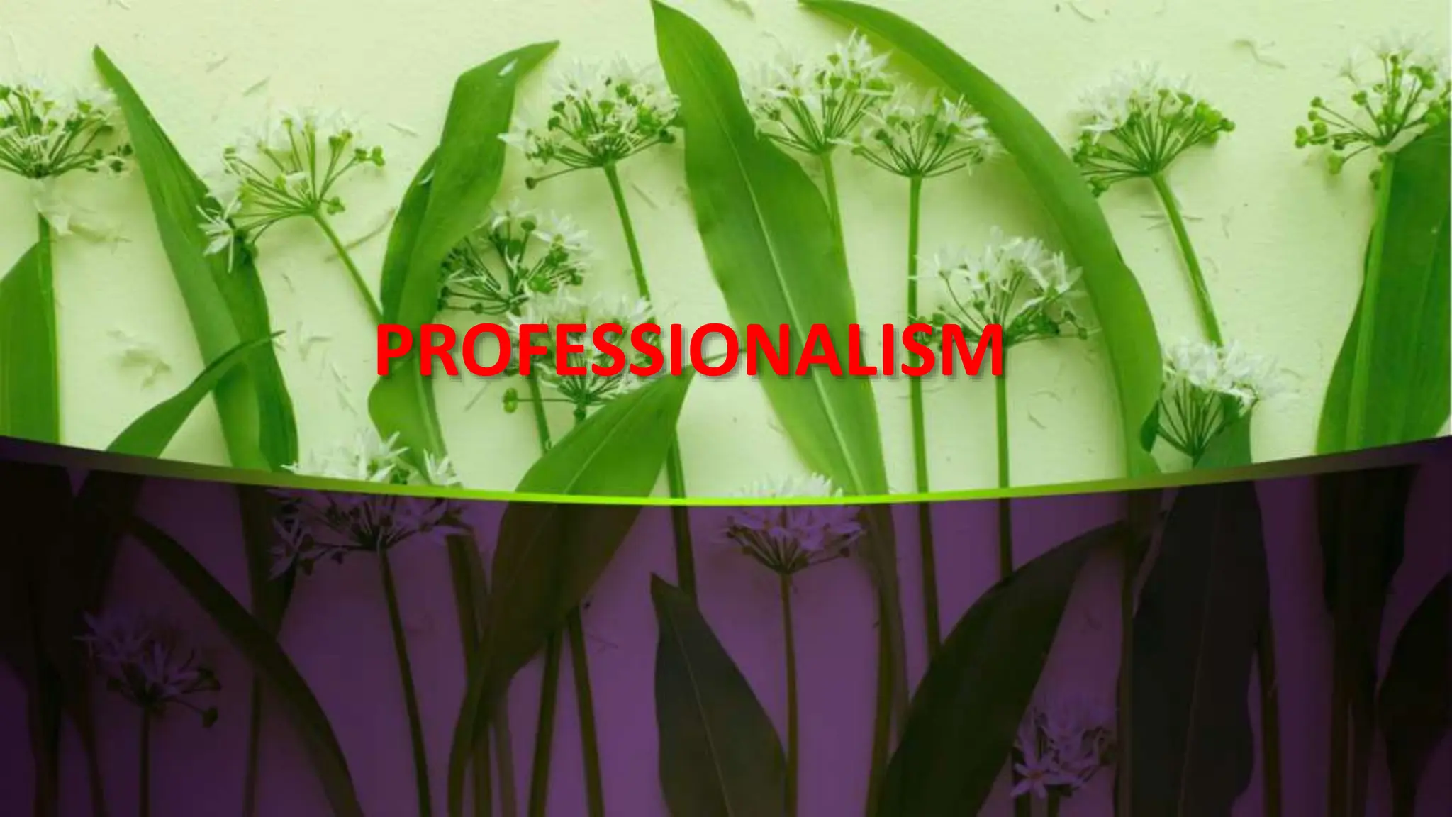 leadership and professionalism lecture.pptx | Executive Leadership ...
