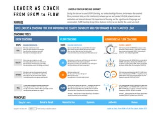 Leader as Coach: from GROW Coaching to FLOW Coaching | PDF