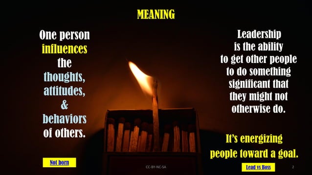 Leadership: Meaning, Defintion & Types | PDF