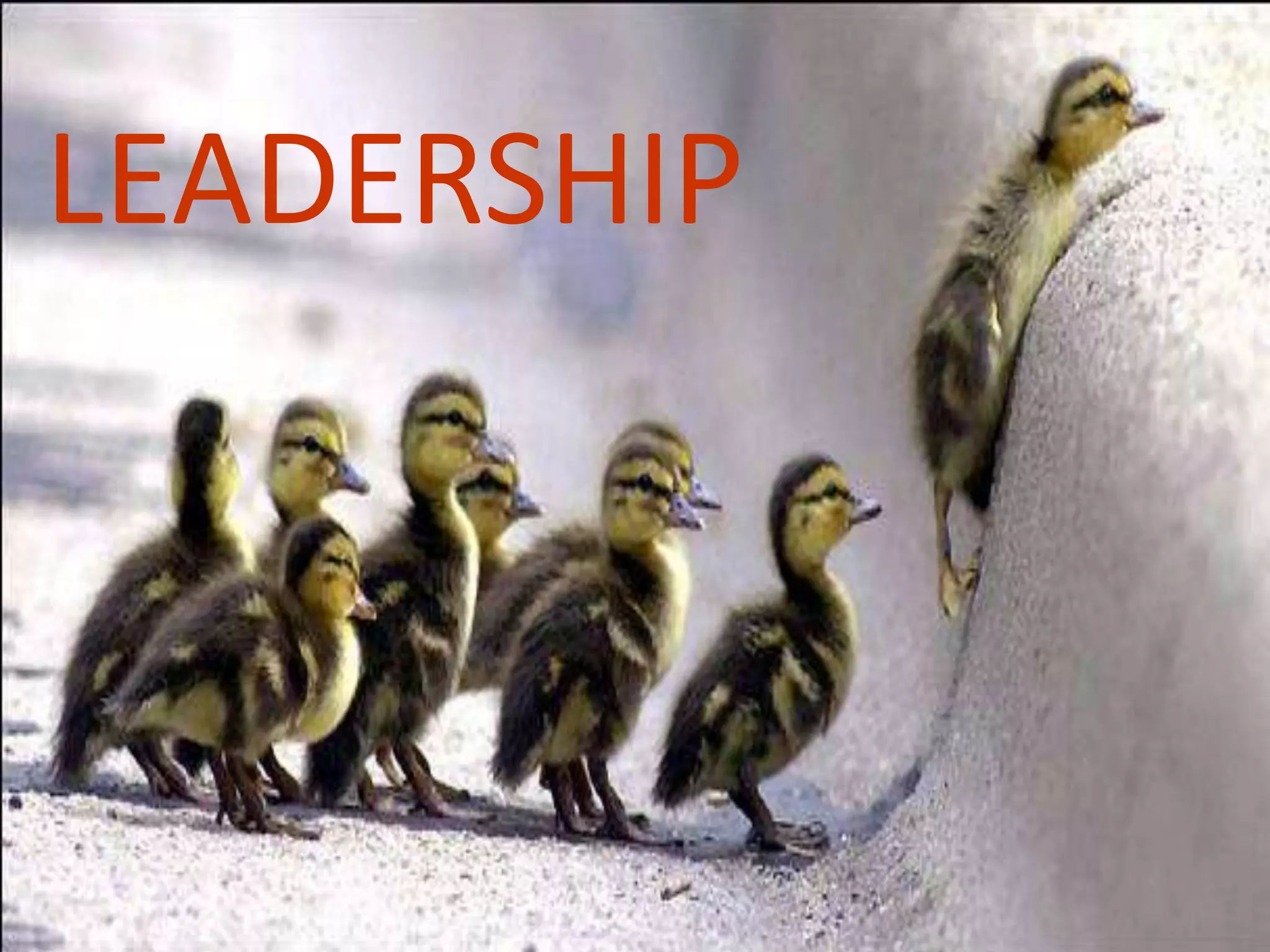 Leadership concepts and theories | PPTX | Executive Leadership ...