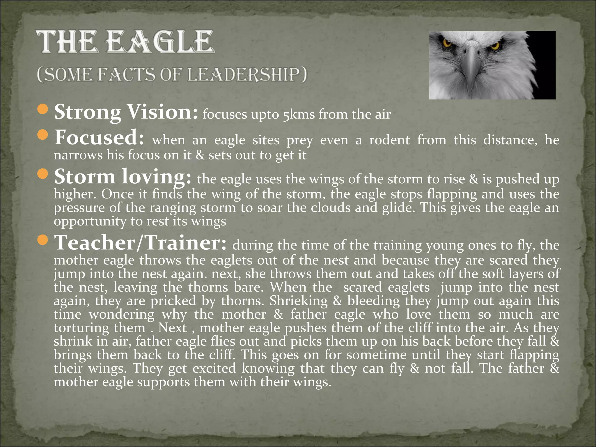 Leadership from animal kingdom | PPT