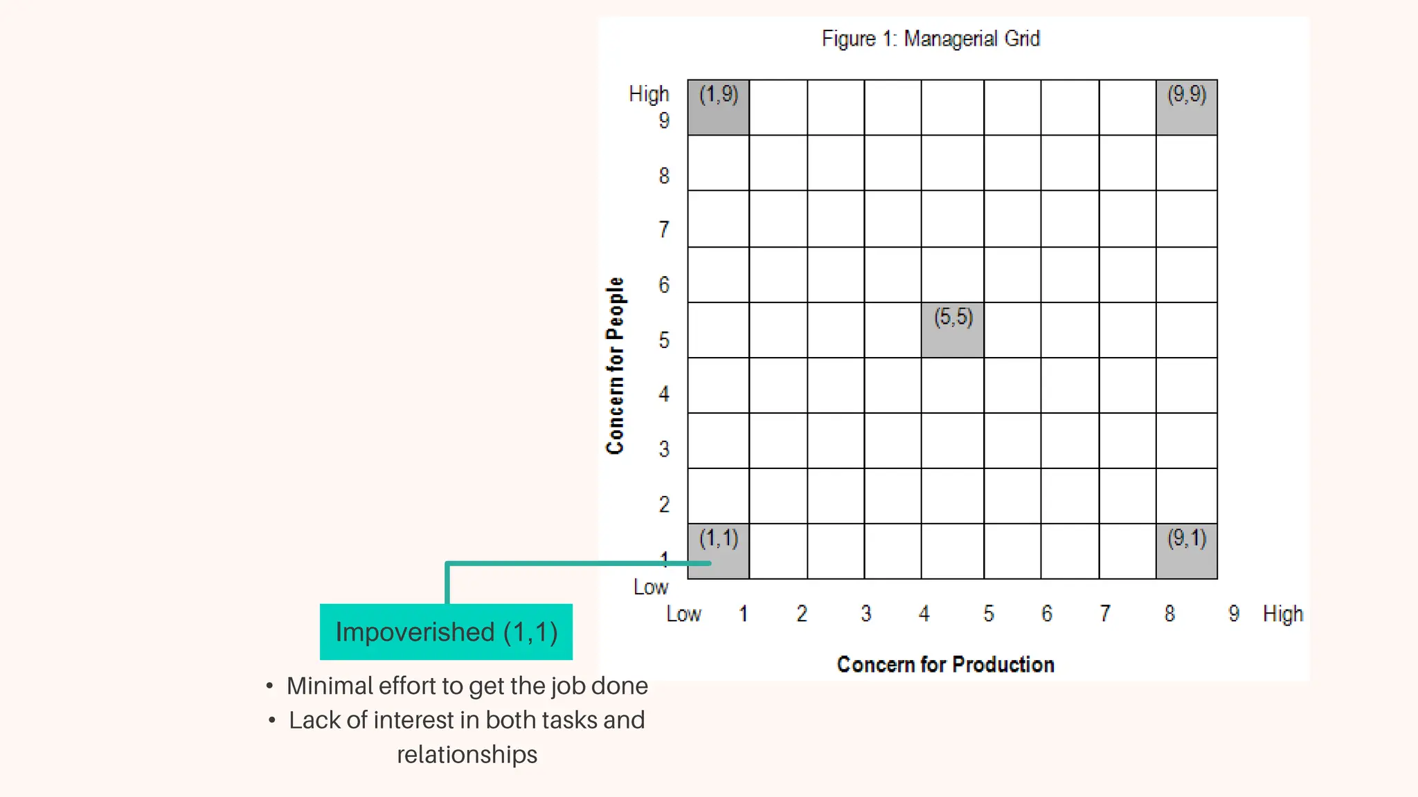Leadership Grid.pptx