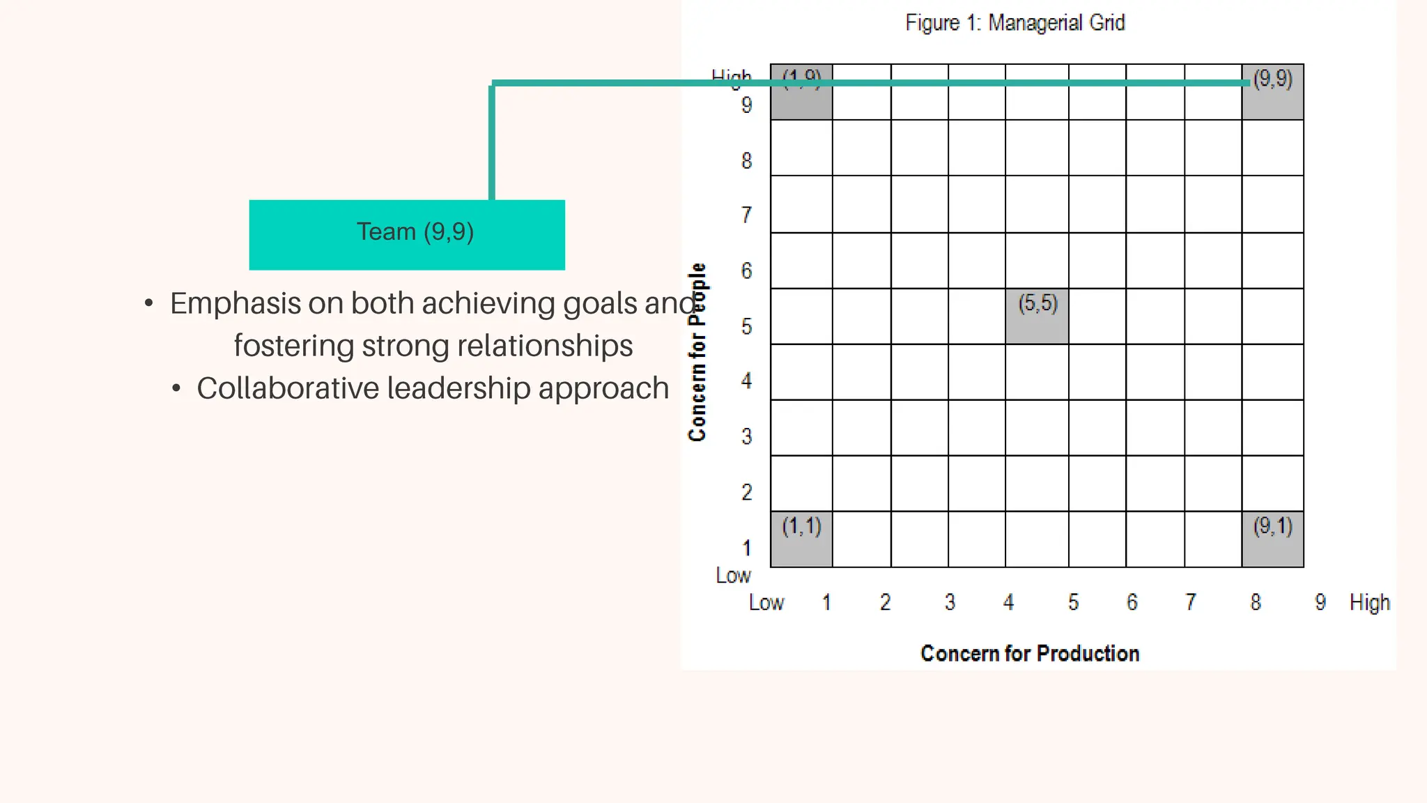 Leadership Grid.pptx