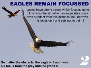 Leadership lesson from eagles | PPT