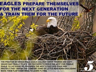 Leadership lesson from eagles | PPT