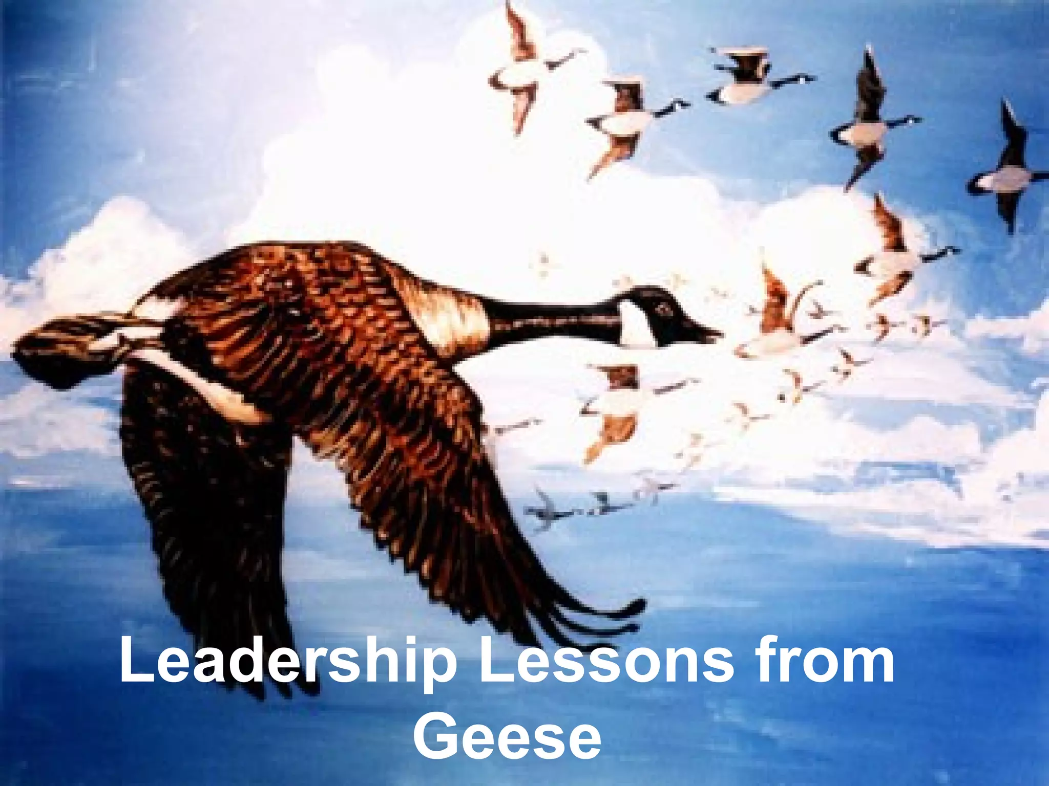 Leadership Lessons From Geese | PPT