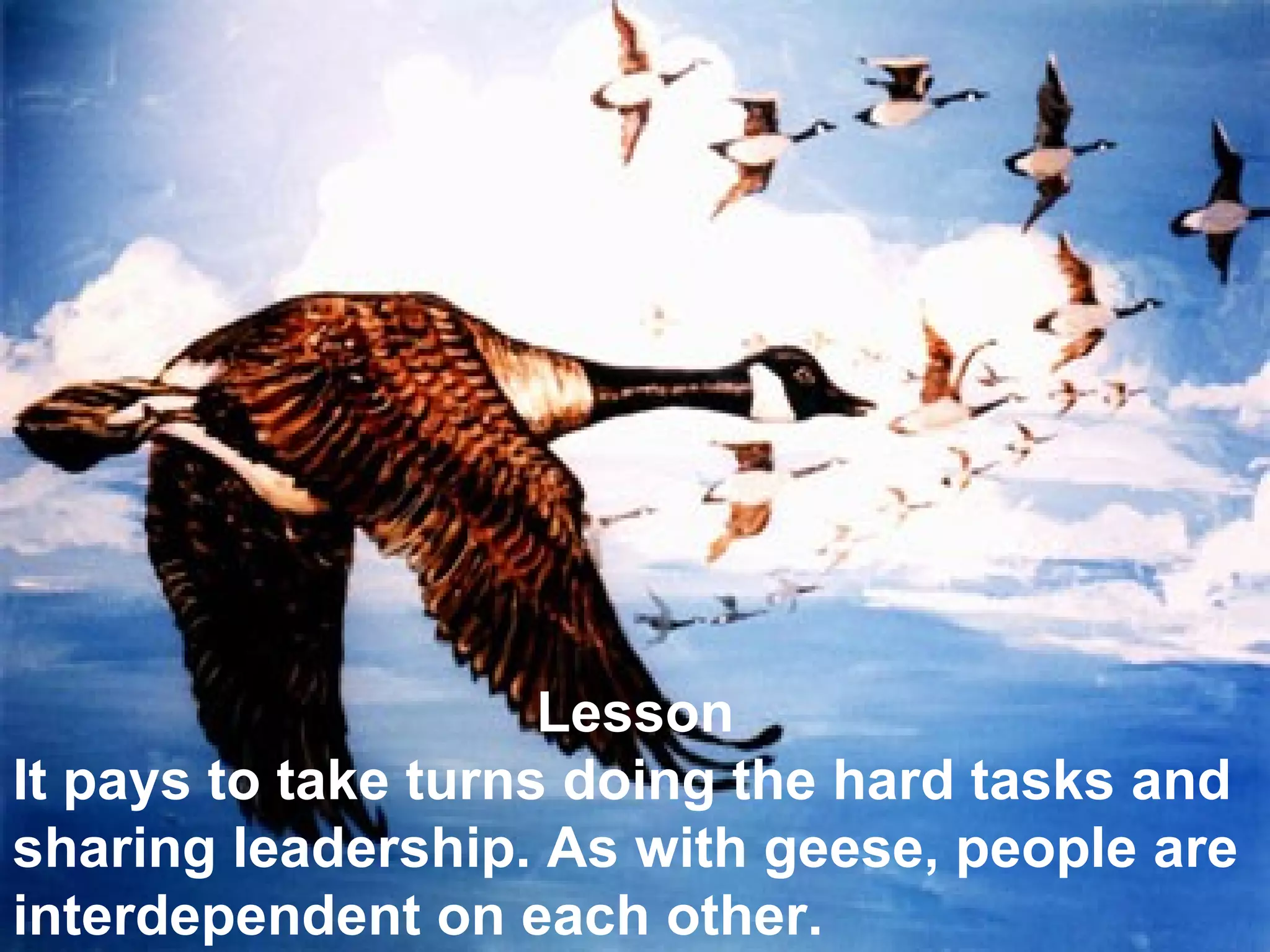 Leadership Lessons From Geese | PPT