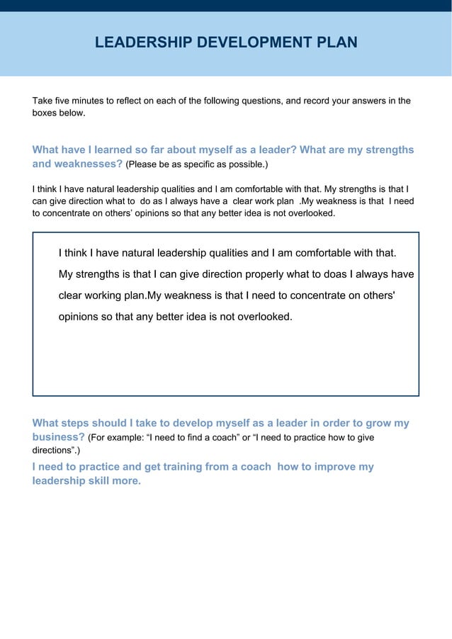 Leadership plan (1) | PDF