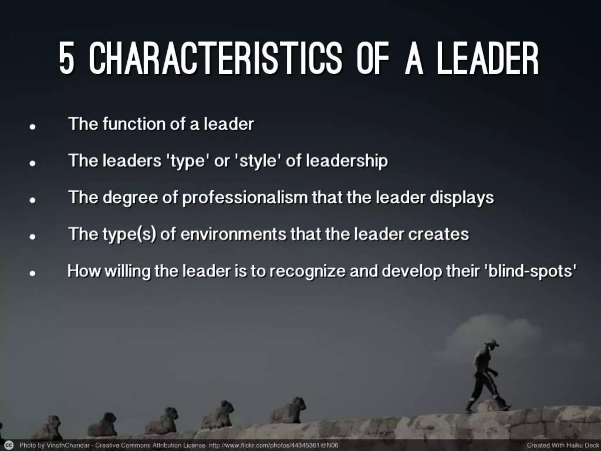 Leadership & professionalism final | PPTX