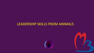 Leadership skills from animal kingdom | PPTX