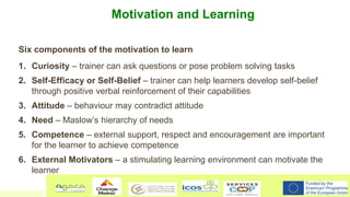 Learning Styles - Training for trainers - LeadFarmProject | PPTX