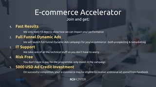 ROI Hunter E-commerce Accelerator | PDF