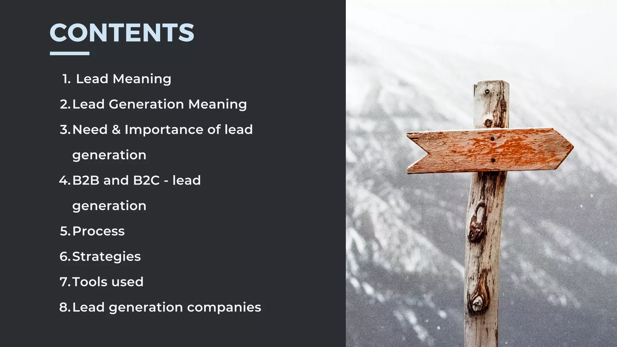 Lead generation | PDF