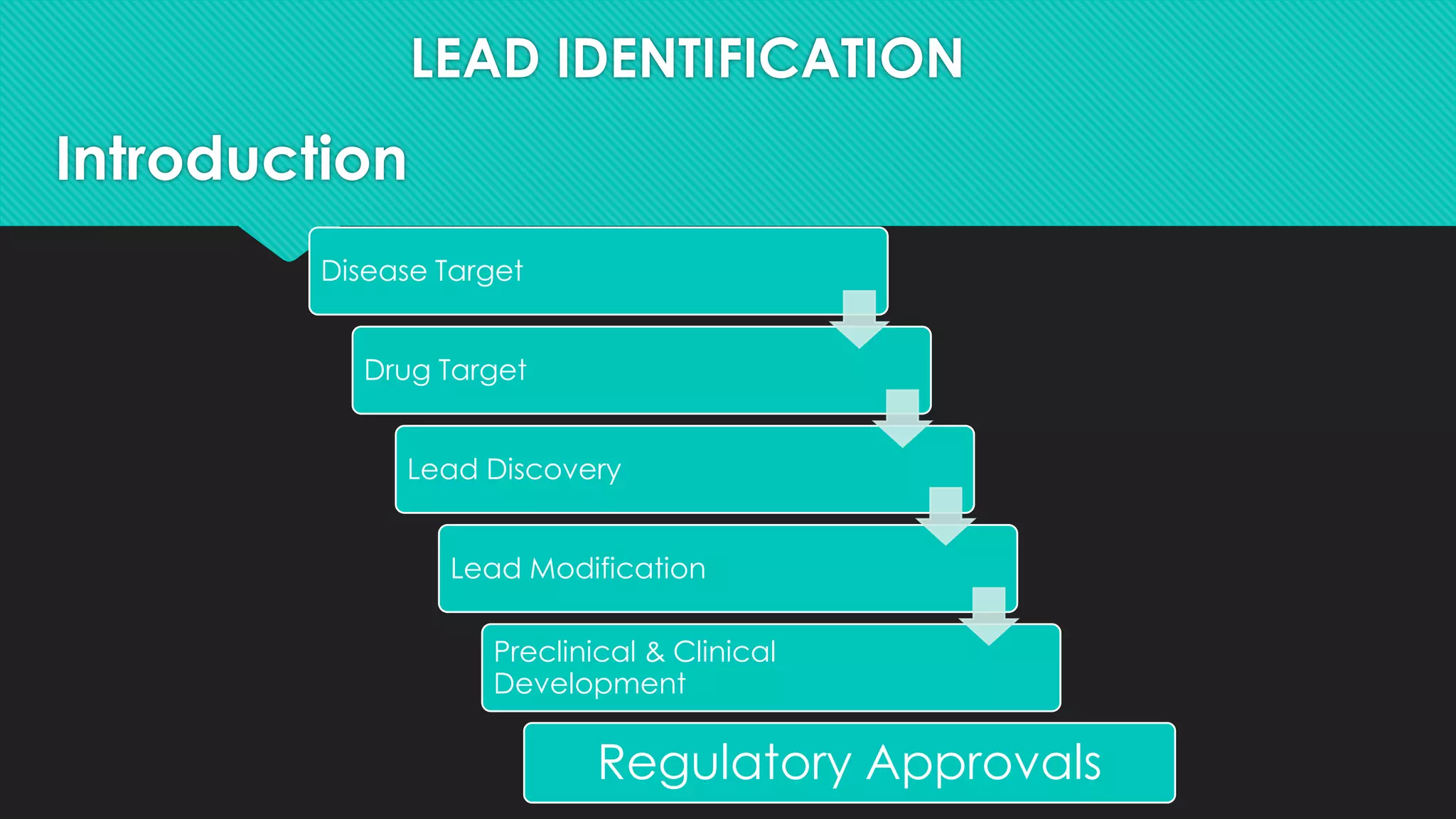 Lead identification | PDF