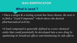 Lead identification | PDF