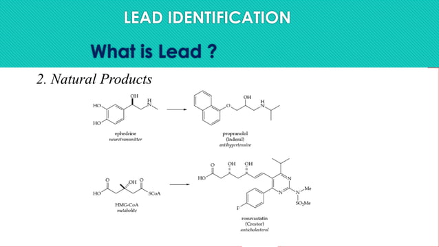 Lead identification | PDF | Pharmaceutical Industry | Industries