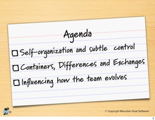 Leading a Self-Organizing Team | PDF