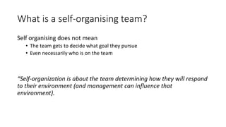 Leading a self organised team | PPTX | Business | Business and Finance