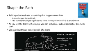 Leading a self organised team | PPTX