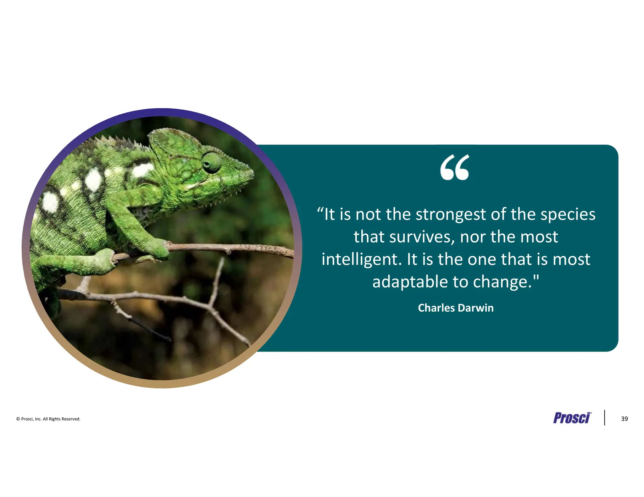 Leading Change strategies and insights for effective change management ...