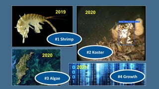 Leading in a Digital World_MCS_Overview.pptx