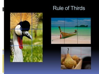 Photography - Composition. Leading lines, framing and rule of thirds ...